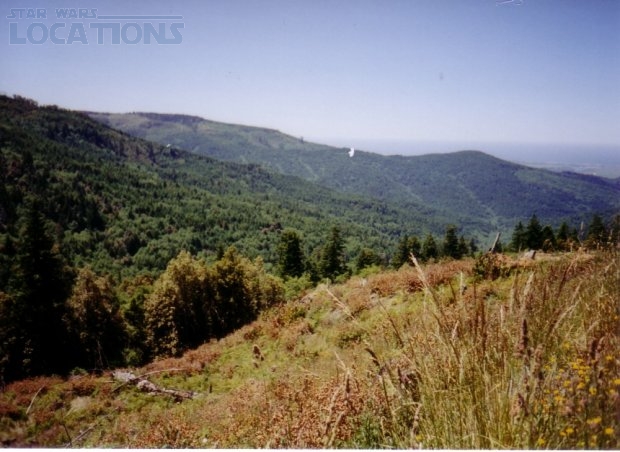 Star Wars trek: Redwoods - June 2001 - Star Wars Locations