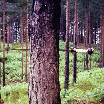 Gladiator Location Spotting